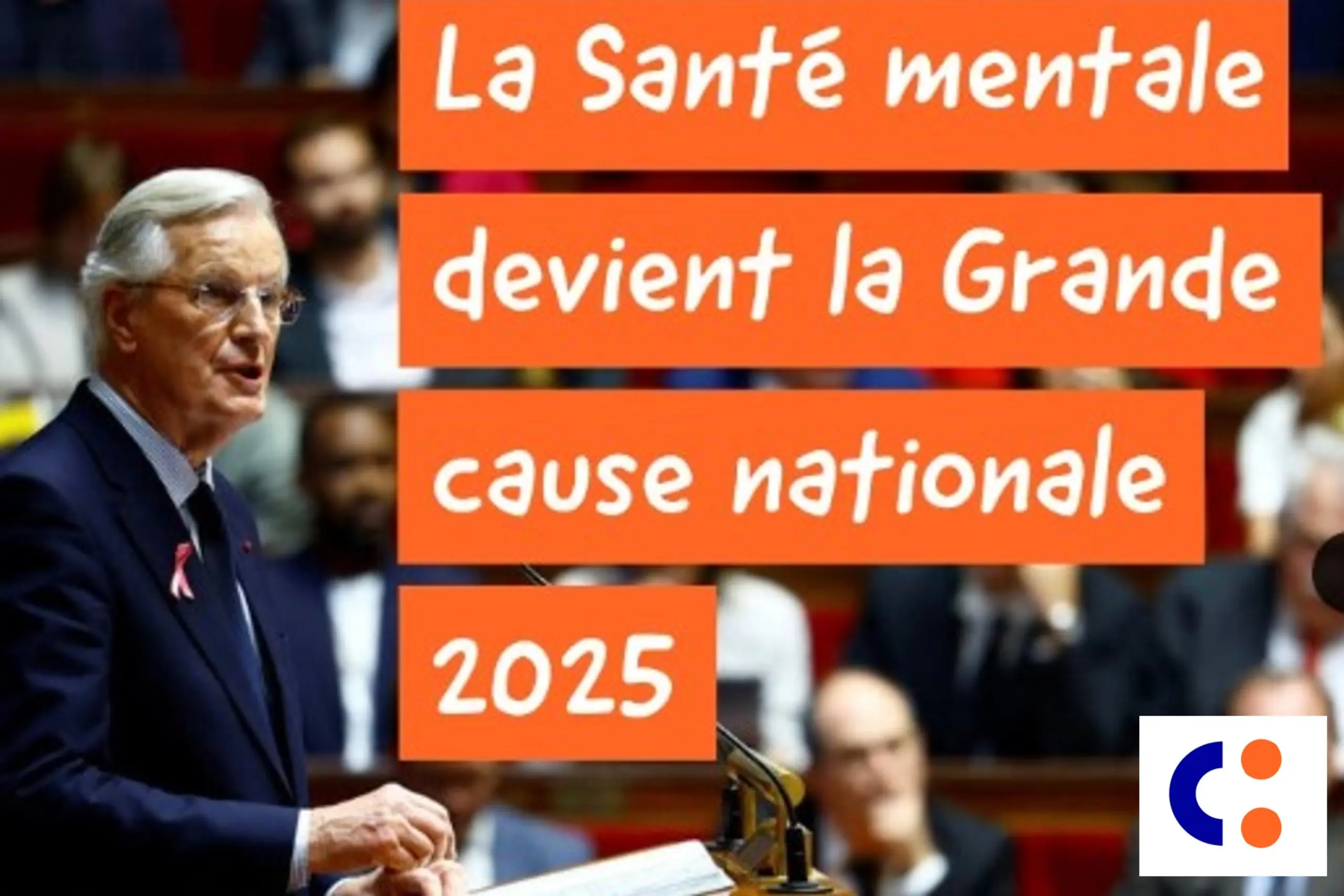 La santé mentale labellisée "Grande Cause Nationale 2025" par Michel Barnier | Actualités ...